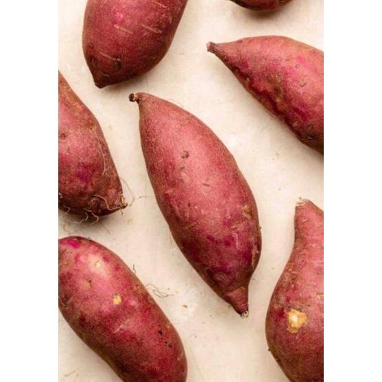 Japanese Sweet Potato Camote Kamote 1kilo per pack | Lazada PH