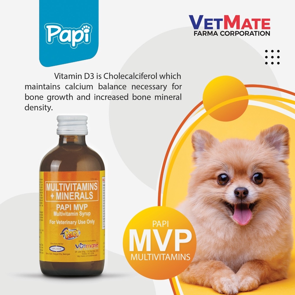 Papi MVP Multivitamin Syrup for Pets 120ml | Lazada PH