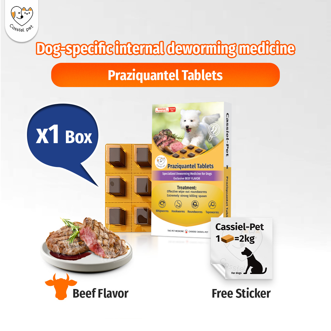 Cassiel Pet Chewable Tablet Anti tick & Flea for Cats and Dogs | Lazada PH