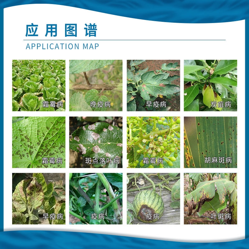 Germany's Bayer Antaisun proponion zinc grape cucumber rice downy ...