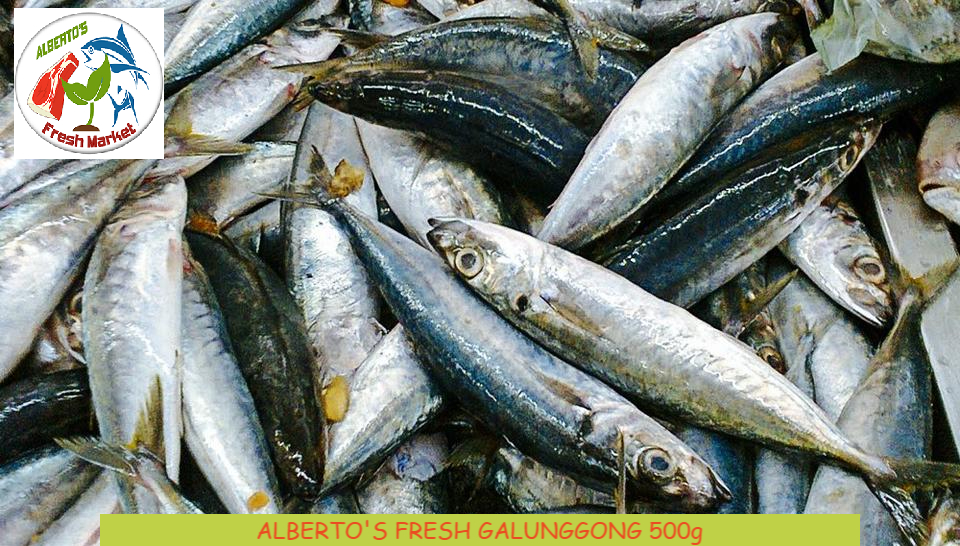 FRESH GALUNGGONG 500g | Lazada PH