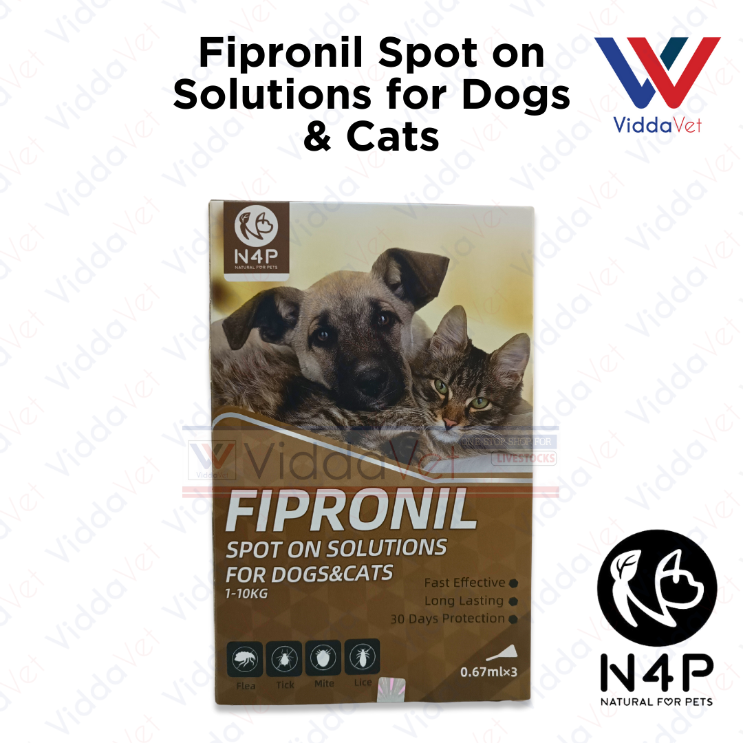 N4P FIPRONIL SPOT ON SOLUTIONS FOR DOGS AND CATS 1 TO 10KG | Lazada PH