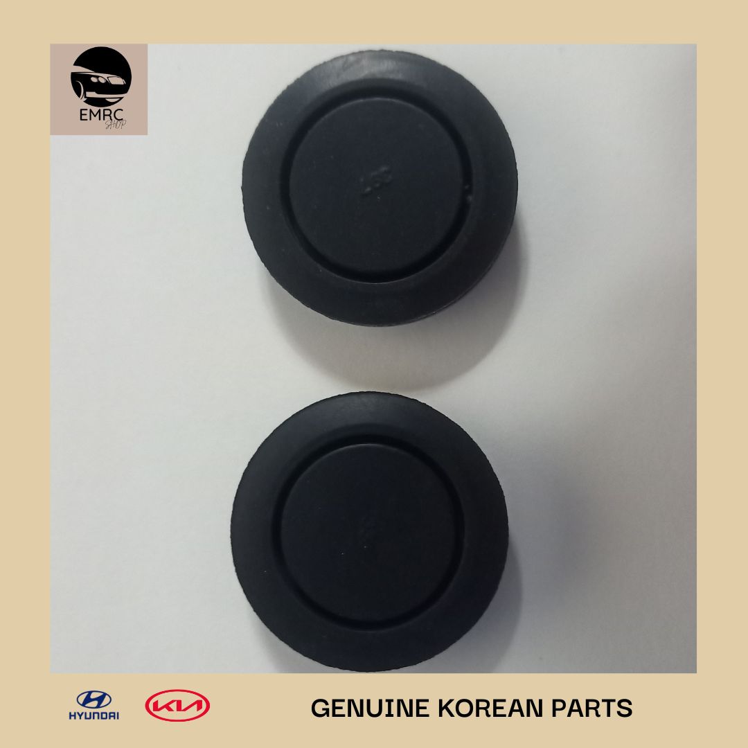 PLUG FRT DOOR 1731325000 for Hyundai Starex | Lazada PH