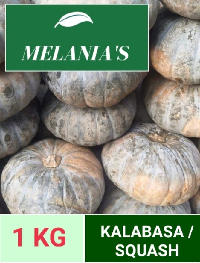 MELANIA'S 1/2 KG KALABASA / SQUASH | Lazada PH
