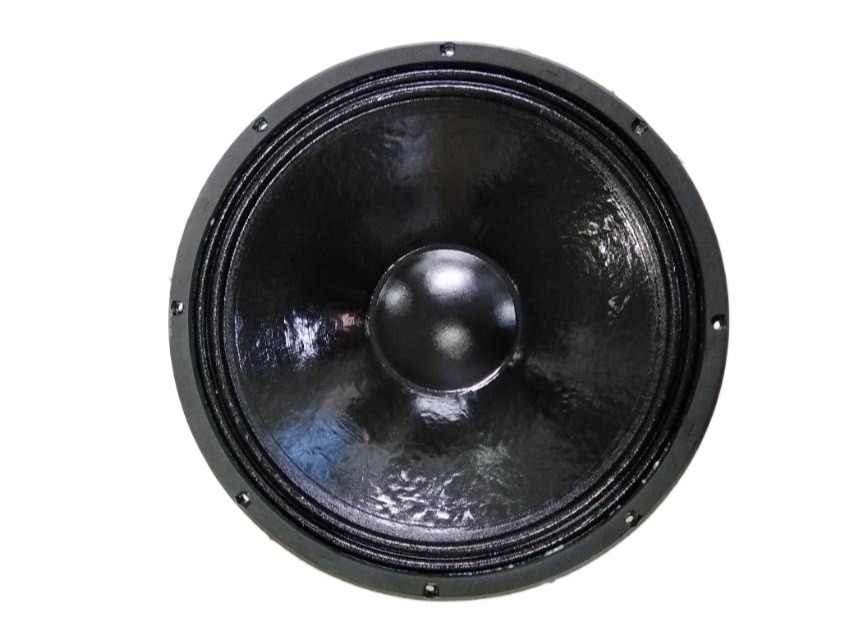Live Sub 18.4 V 2.0 18inch 1200W subwoofer speaker | Lazada PH