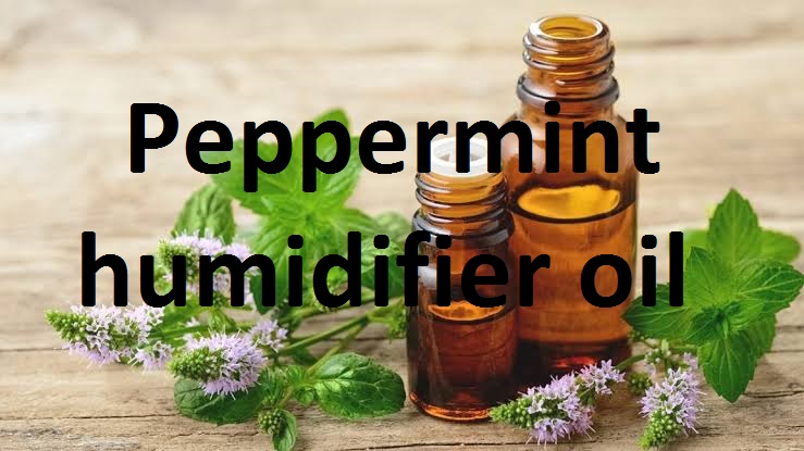 Peppermint humidifier oil 1L | Lazada PH