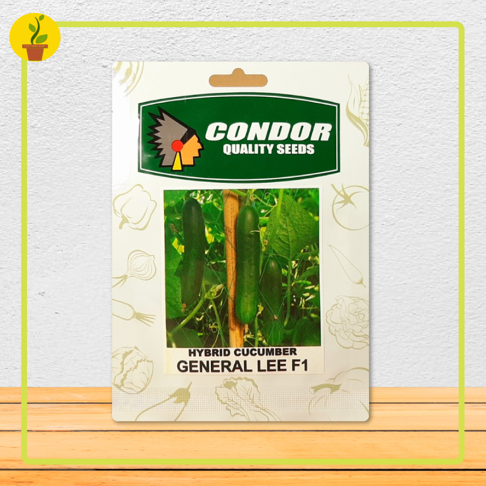 CUCUMBER SEEDS (General Lee Variety F1) [45 Seeds Pkt.] - Condor By ...