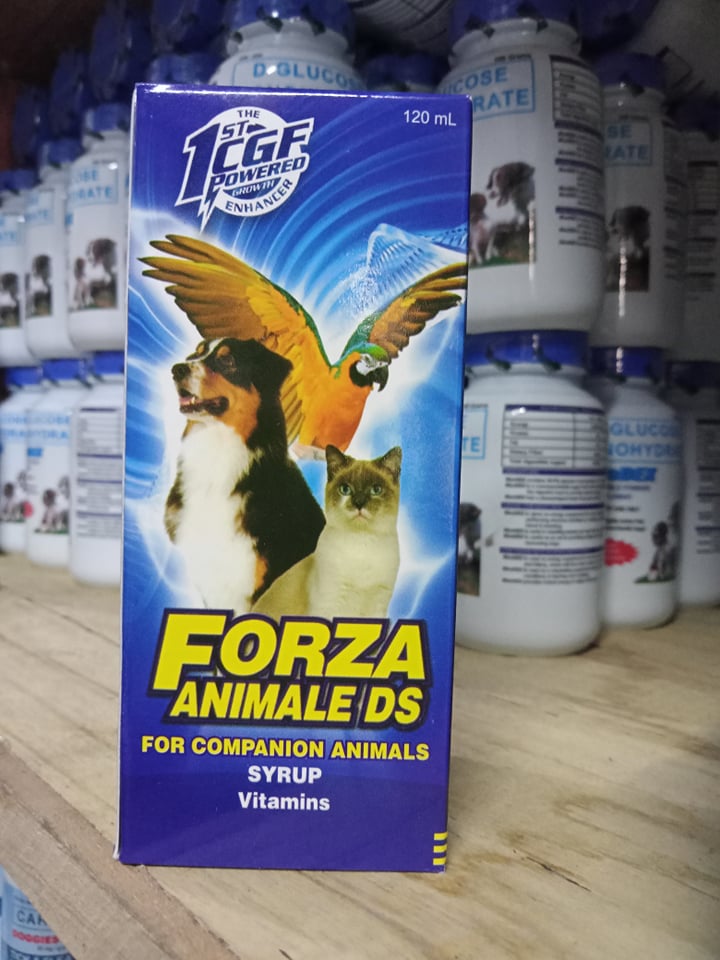 FORZA ANIMALE DS SYRUP VITAMINS 120ML (sold per 1 piece) | Lazada PH