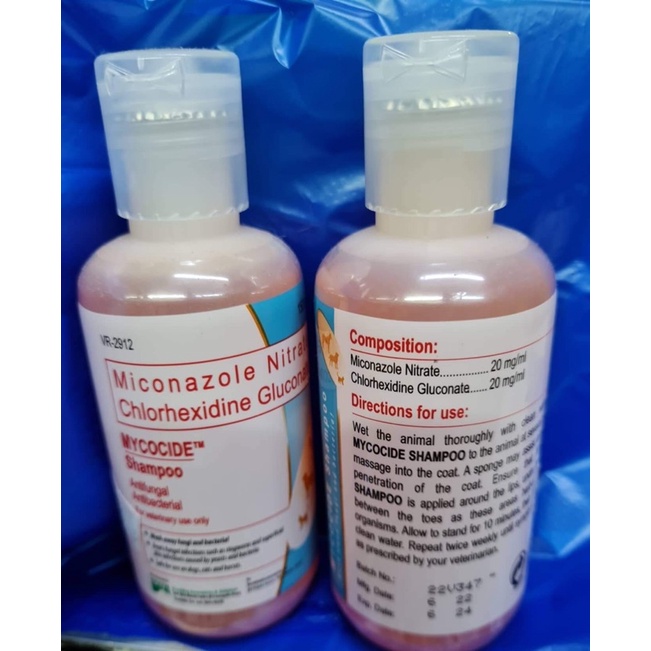 Agad na pagpapadala Mycocide Shampoo - anti fungal for Cats and Dogs ...