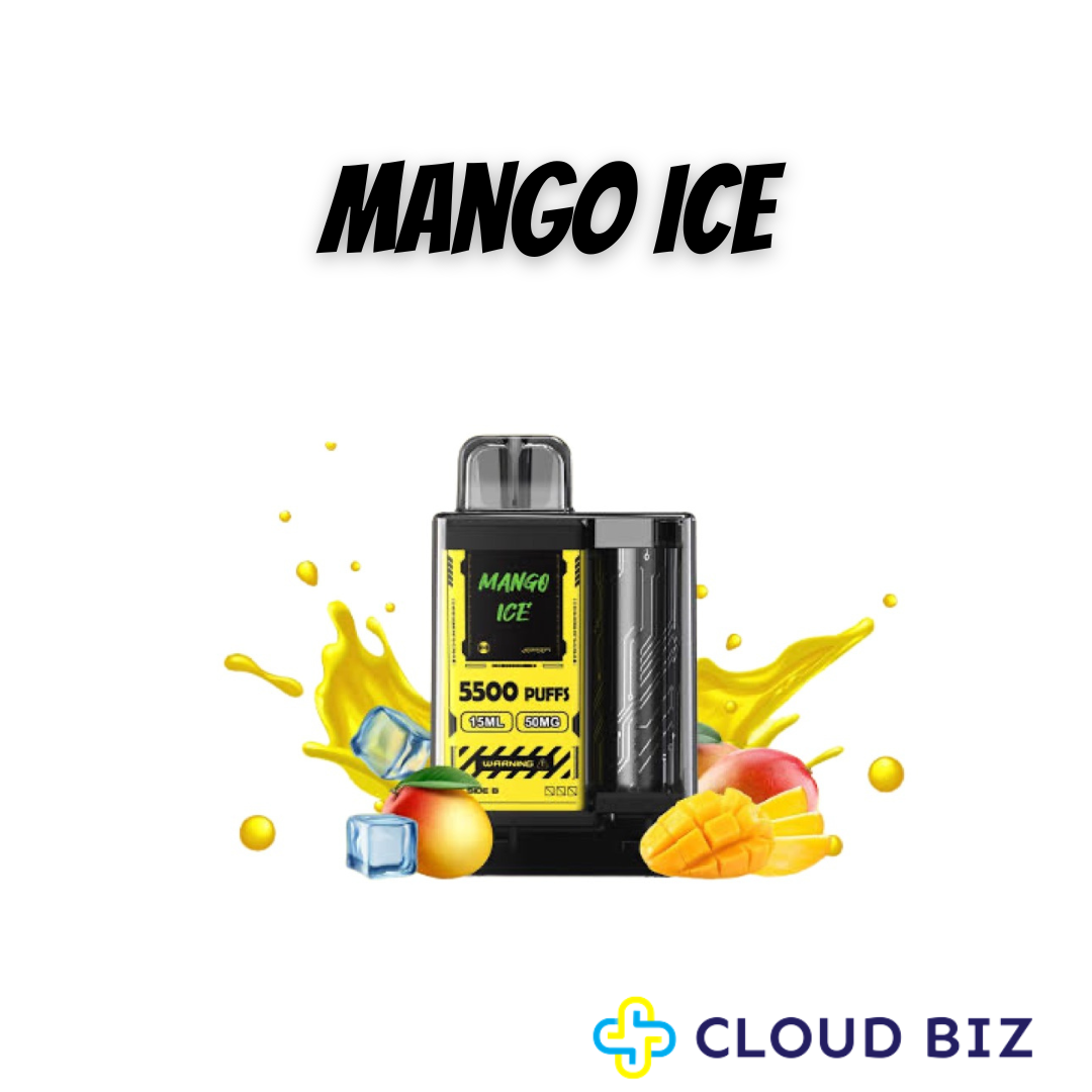 VAPENGIN 5500 PUFFS DISPOSABLE 5%(NIC) 500mAh RECHARGEABLE TYPE-C ...