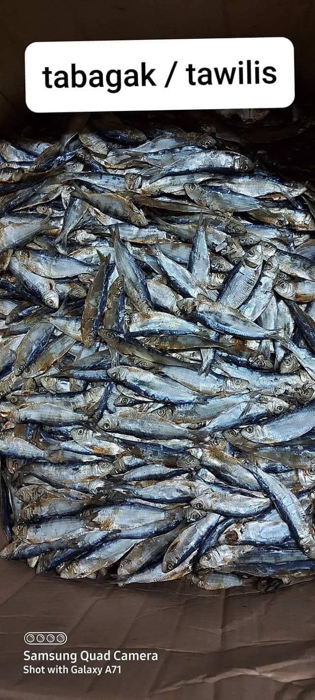 Tagaytay City "500 grams Dried TAWILIS" unsalted fish | Lazada PH