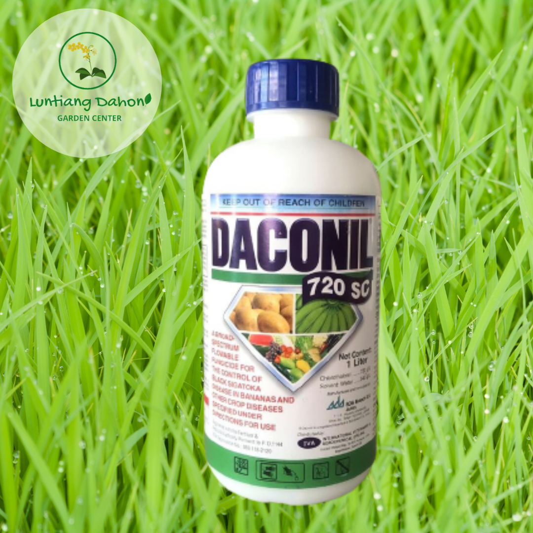 Daconil 720 SC Fungicide | 1 liter | Lazada PH