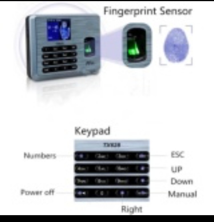 BIOMETRICS ZKTeco | Lazada PH