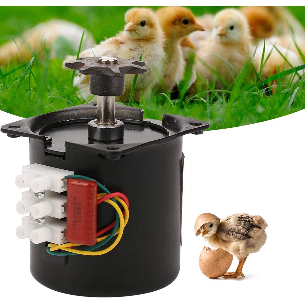 60KTYZ Incubator Motor With Gear Egg Rotary Synchronus 220V 14W for Egg ...
