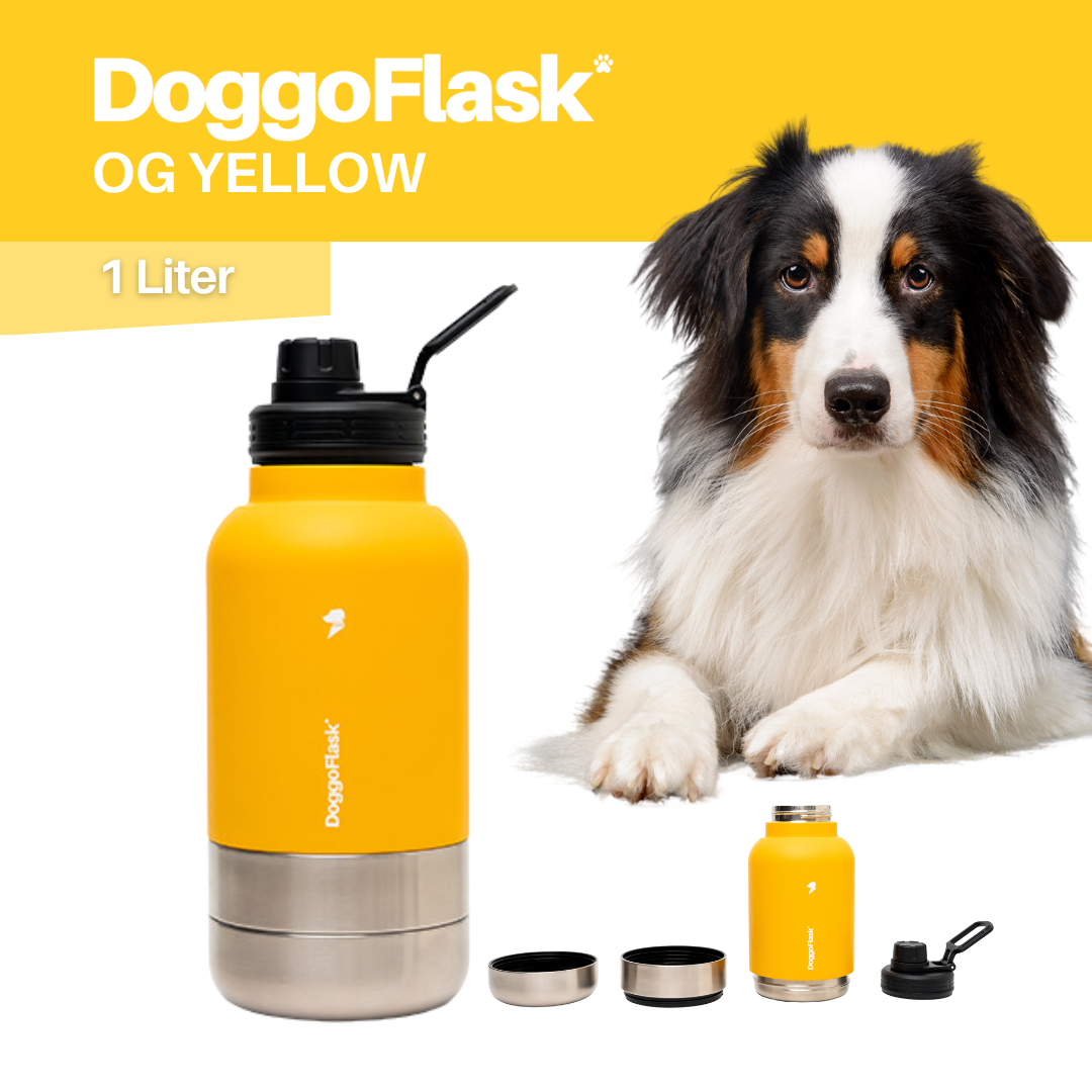 DoggoFlas OG Yellow 3-in-1 Portable Insulated 1 Liter Dog Water Bottle ...