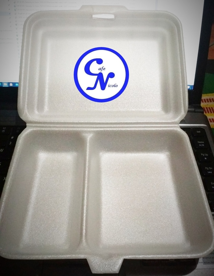 CN Styro Combo Meal Lunch Box - 2 Division (50 pieces) | Lazada PH