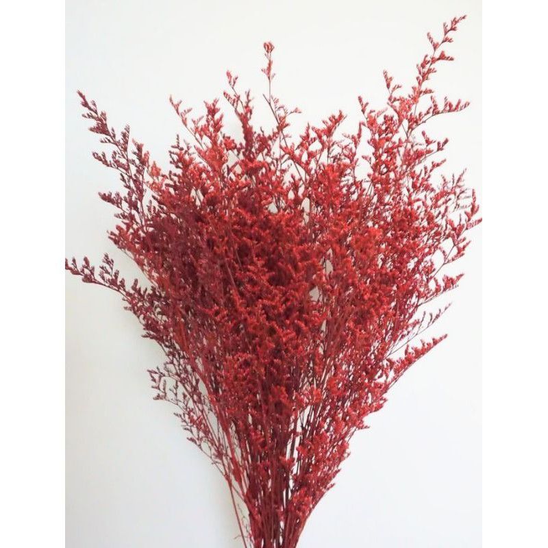 Dried Misty/ Real Flower/ Medium Bunch | Lazada PH