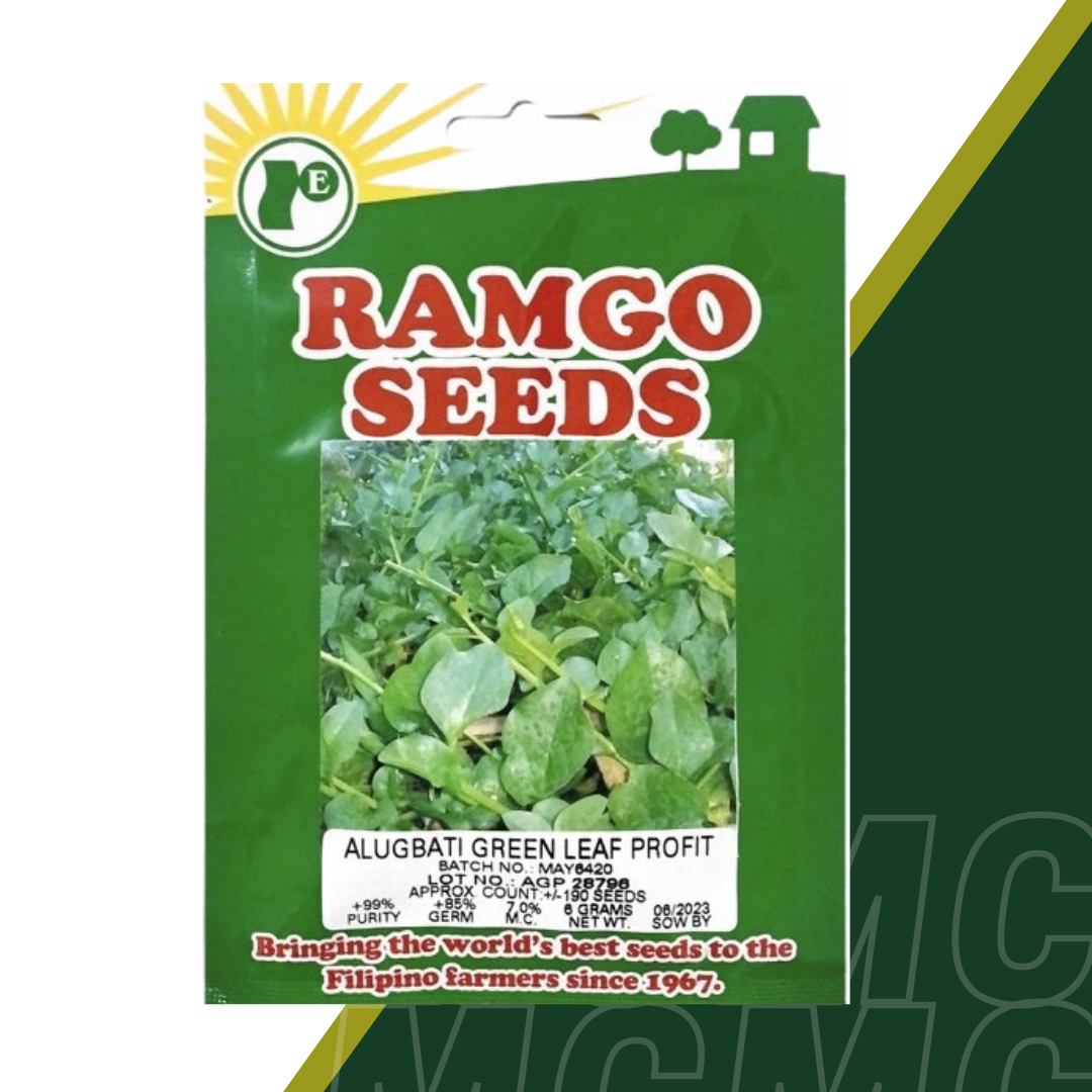 Ramgo Seeds Alugbati Green Leaf Profit | Lazada PH