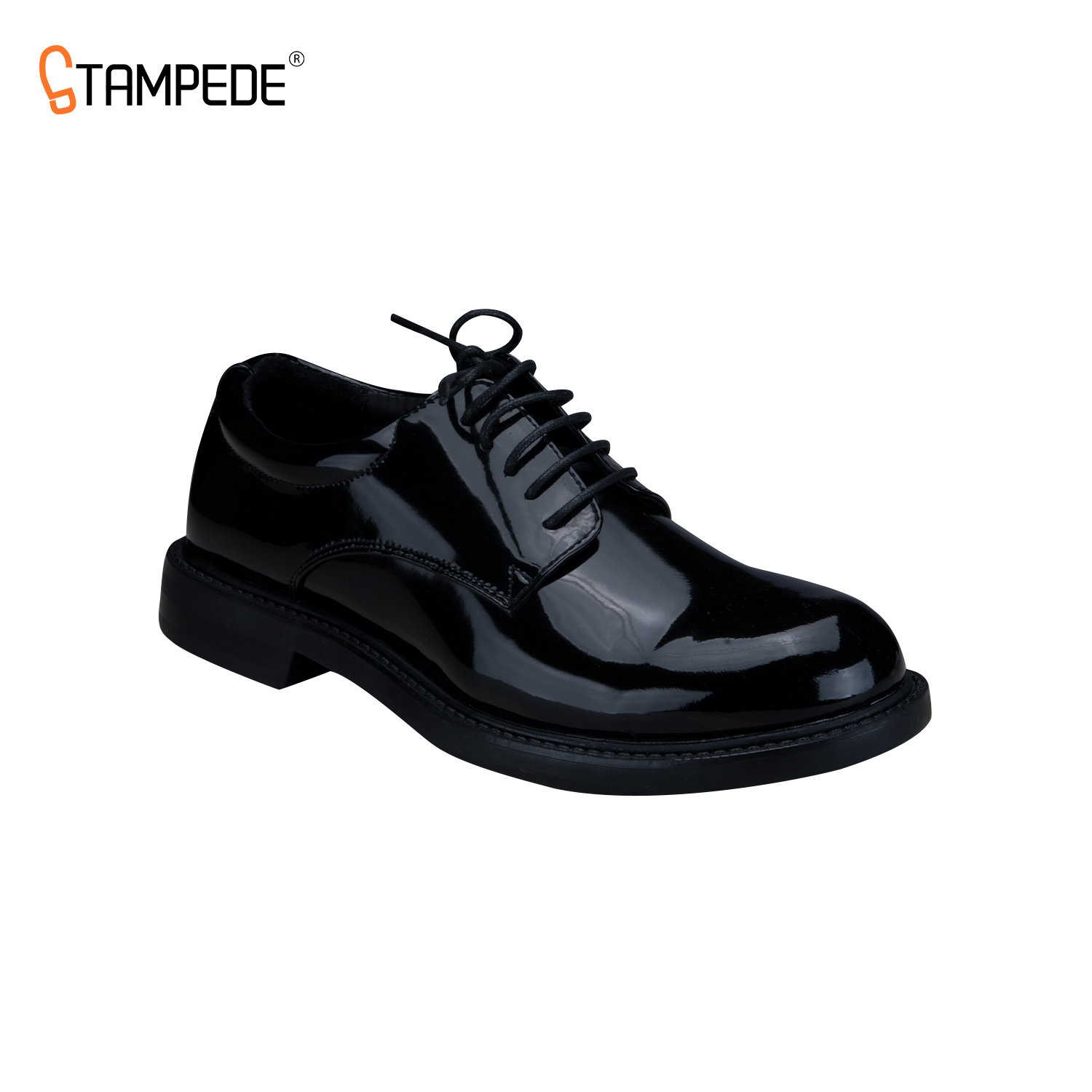 Stampede Defender Security Guard / Police Shoes for Men | Lazada PH