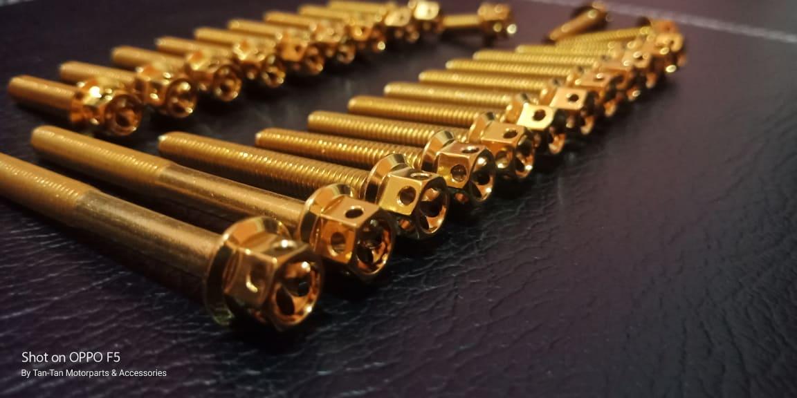 Crankcase Gold Bolts set for Raider150 (Original Heng) | Lazada PH