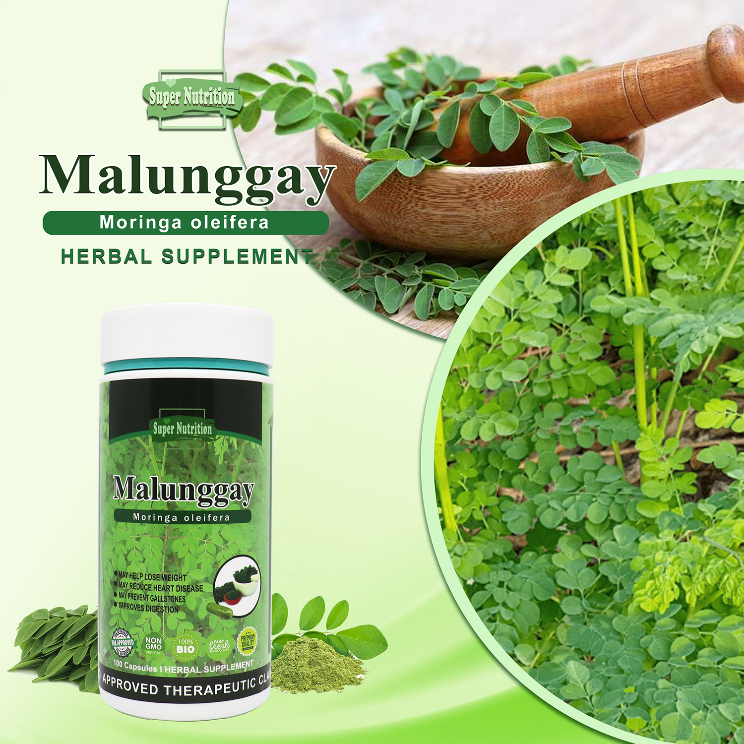 Malunggay Capsules, 500mg, 100 Capsules (new packaging | Lazada PH