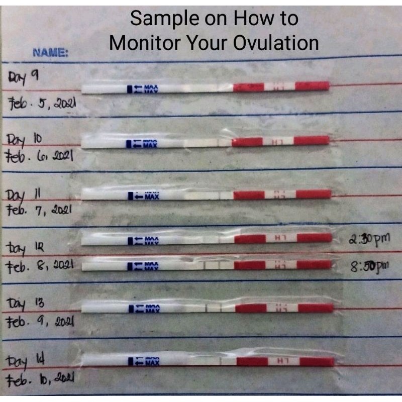 MERCA 1PC Ovulation Test Strips Urine Test LH Pregnancy Test Strips Kit ...