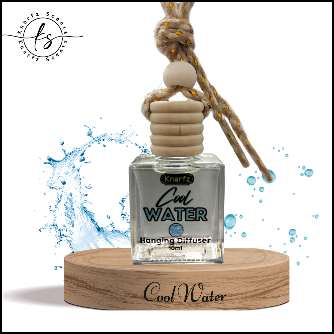 Car Air Freshener / Hanging Diffuser / Car Perfume / Room Air Freshener ...