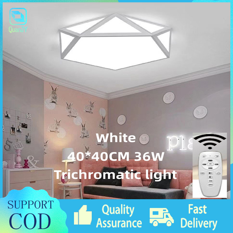 Modern Led light Ceiling lights with remote control Nordic Ceiling ...