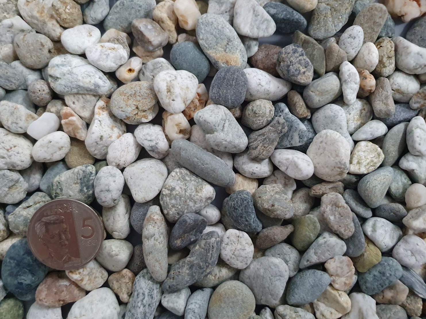 Natural Beach Stone Pebbles from Occidental Mindoro 5 Different Sizes ...