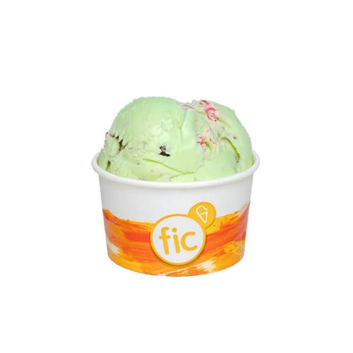 FIC Choco Mint Ice Cream (460mL) | Lazada PH