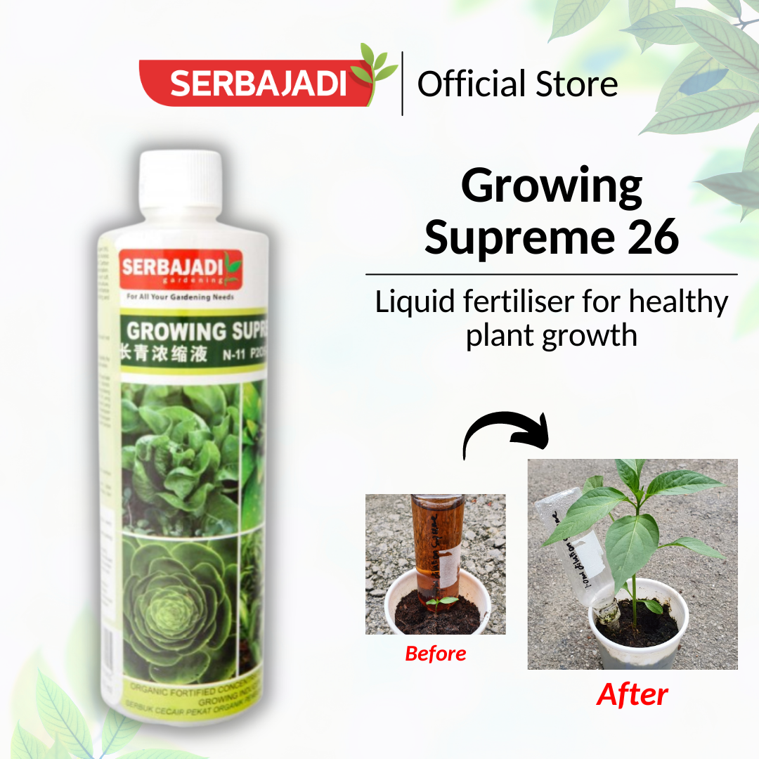 Serbajadi Concentrate Foliar Growing Supreme 26 Pataba | Pataba sa ...