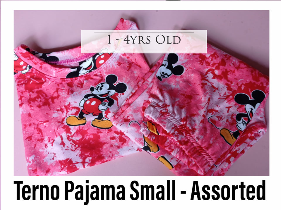 Terno Pajama for Kids / Age 1-4 / Small/ Assorted/ ALM Distribution ...