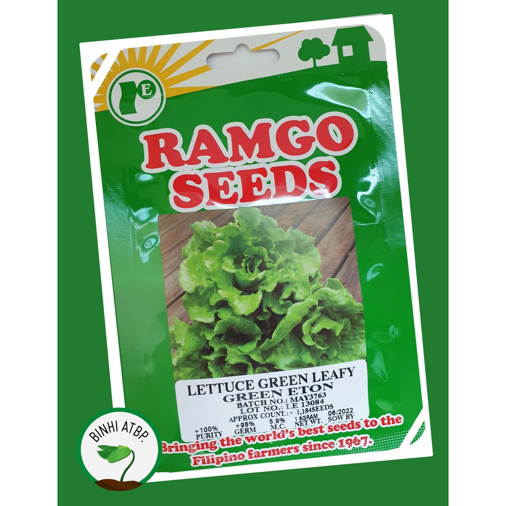 Ramgo Lettuce Leafy Green Eton Seeds | Lazada PH