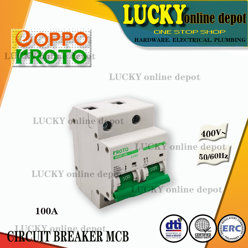 DZG47-125-2P EOPPO/ROTO CIRCUIT MINIATURE CIRCUIT BREAKER (MCB) | Lazada PH