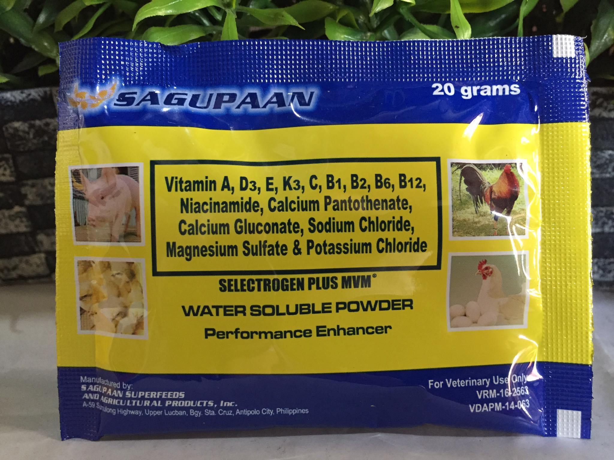 Selectrogen Plus MVM 20gms | Lazada PH