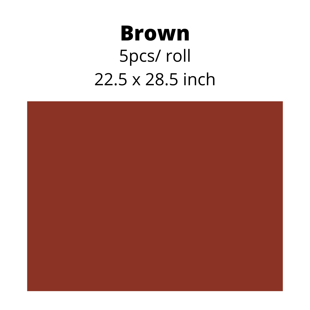 CARTOLINA 5PCS PER ROLL 22.5X28.5 INCH | ARTS AND CRAFTS SCHOOL AND ...