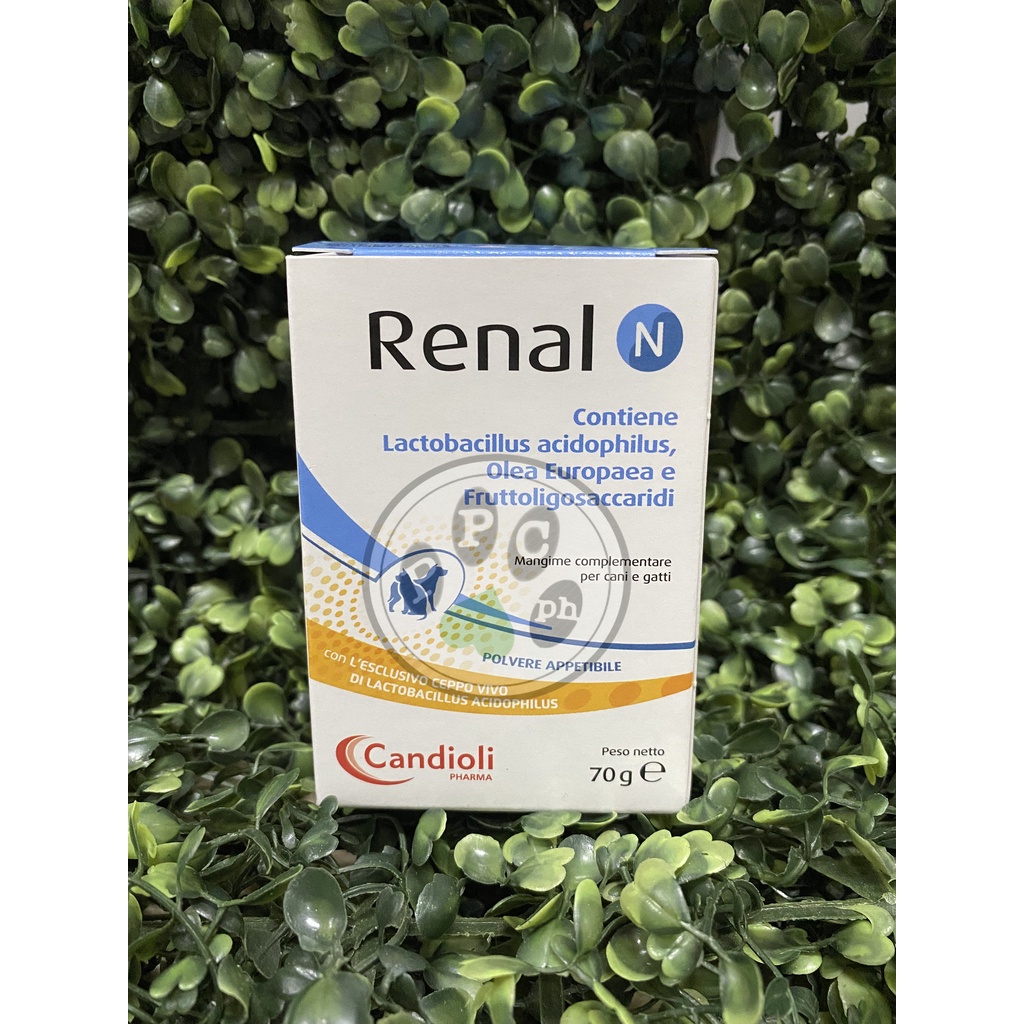 100% guarantee of authentic products Candioli Renal N Supplement for ...