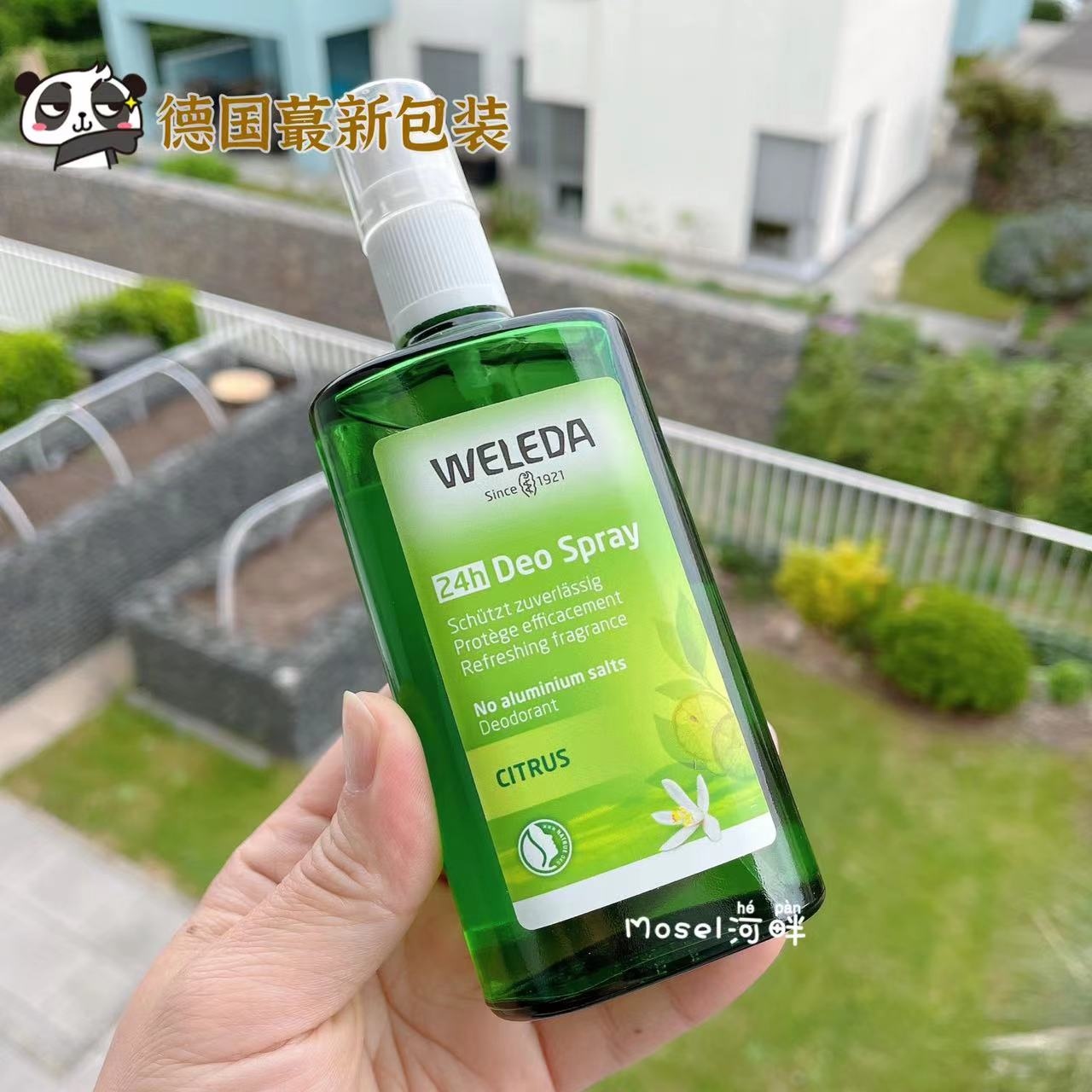 Spot 24 years in May Germany Weleda Vered organic citrus essential oil ...