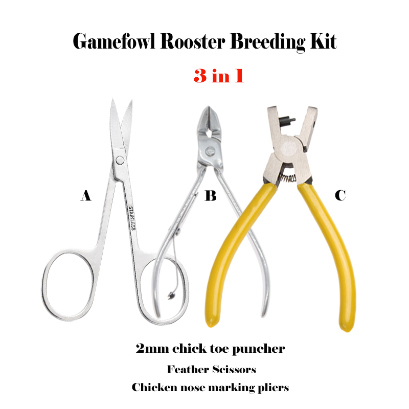 3Pcs/set Gamefowl Breeding Kit 2mm Toe Puncher for Chick+Rooster ...