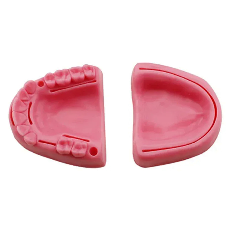 KITA-Dental Oral/Gum Suture Practice Skin Suture Pad Model Silicone ...