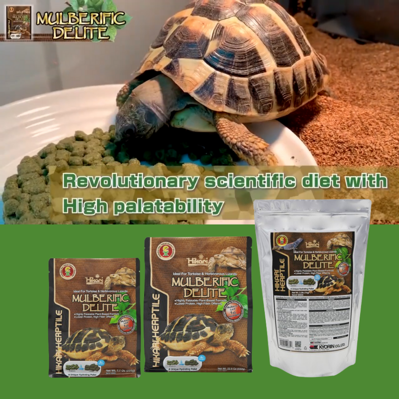 1KG Hikari Mulberific Delite: Tortoise Food & Herbivorous Lizard food ...