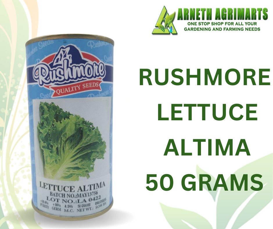 RUSHMORE LETTUCE ALTIMA ( 50 GRAMS CAN ) | Lazada PH