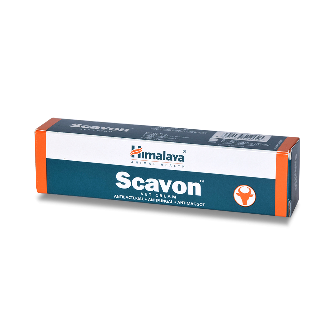 Himalaya Scavon Antibacterial & Antifungal Vet Cream 50g - WOUND CREAM ...