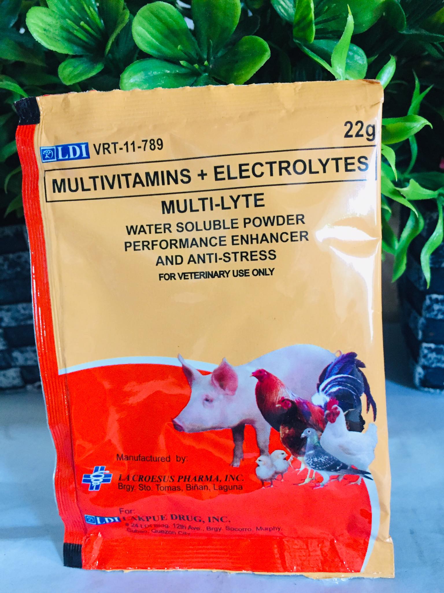 Multi-lyte water soluble powder 22gms (sachet) | Lazada PH