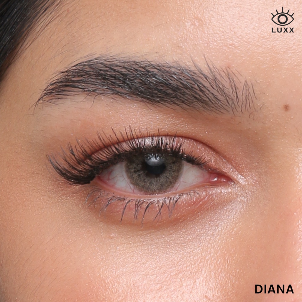 Luxx Lash Magnetic Lashes in Diana | Lazada PH