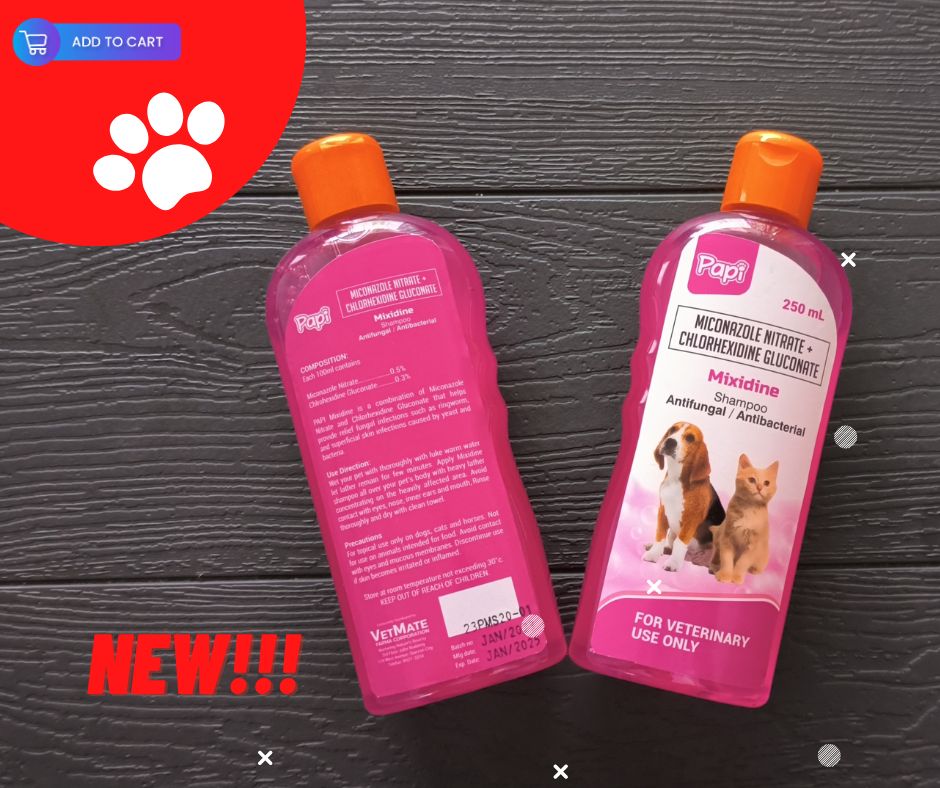 Papi Mixidine Antifungal & Antibacterial Shampoo 250mL for Dogs and ...