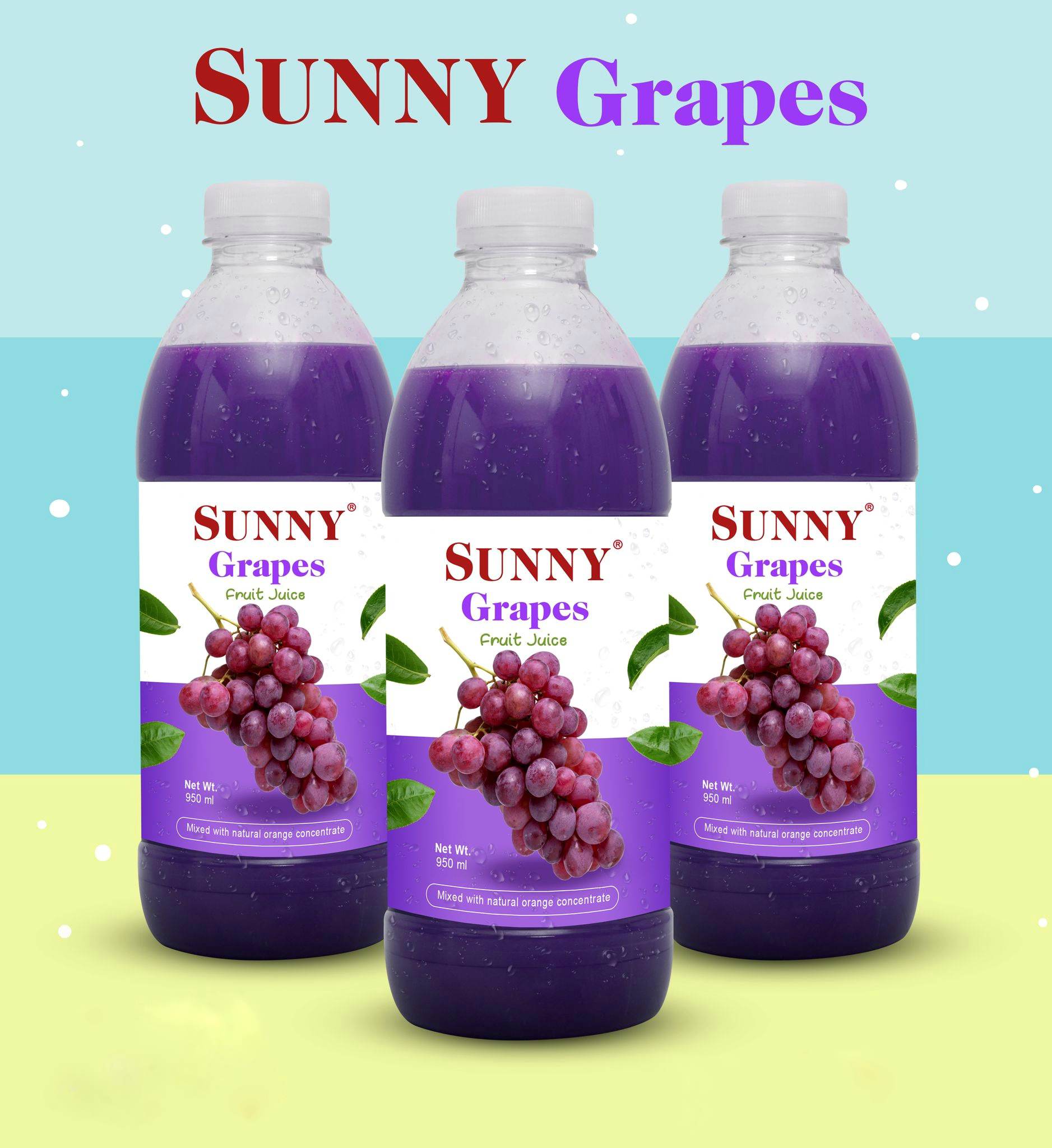 Sunny Grapes flavor Juice 500ml | Lazada PH