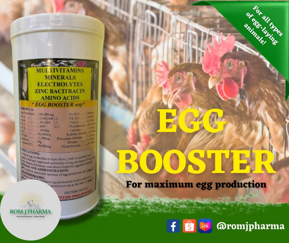 EGG BOOSTER VITAMINS (MULTIVITAMINS + MINERALS + ELECTROLYTES + ZINC ...