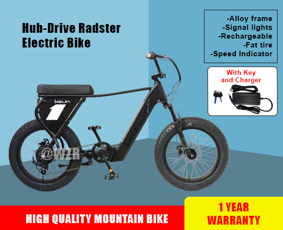 E bike for adult Electric Mountain Speed Bike E Bike Rechargeable Bike ...