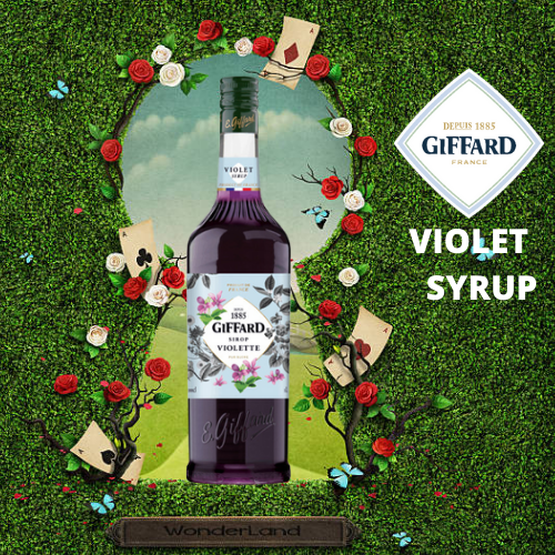 Giffard Violet Flavoring Syrup 1 Liter | Lazada PH